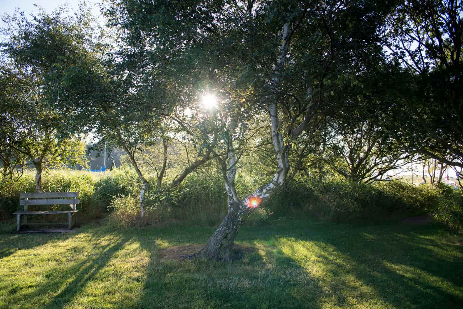 Waste, Water and Energy Insight | Veolia UK