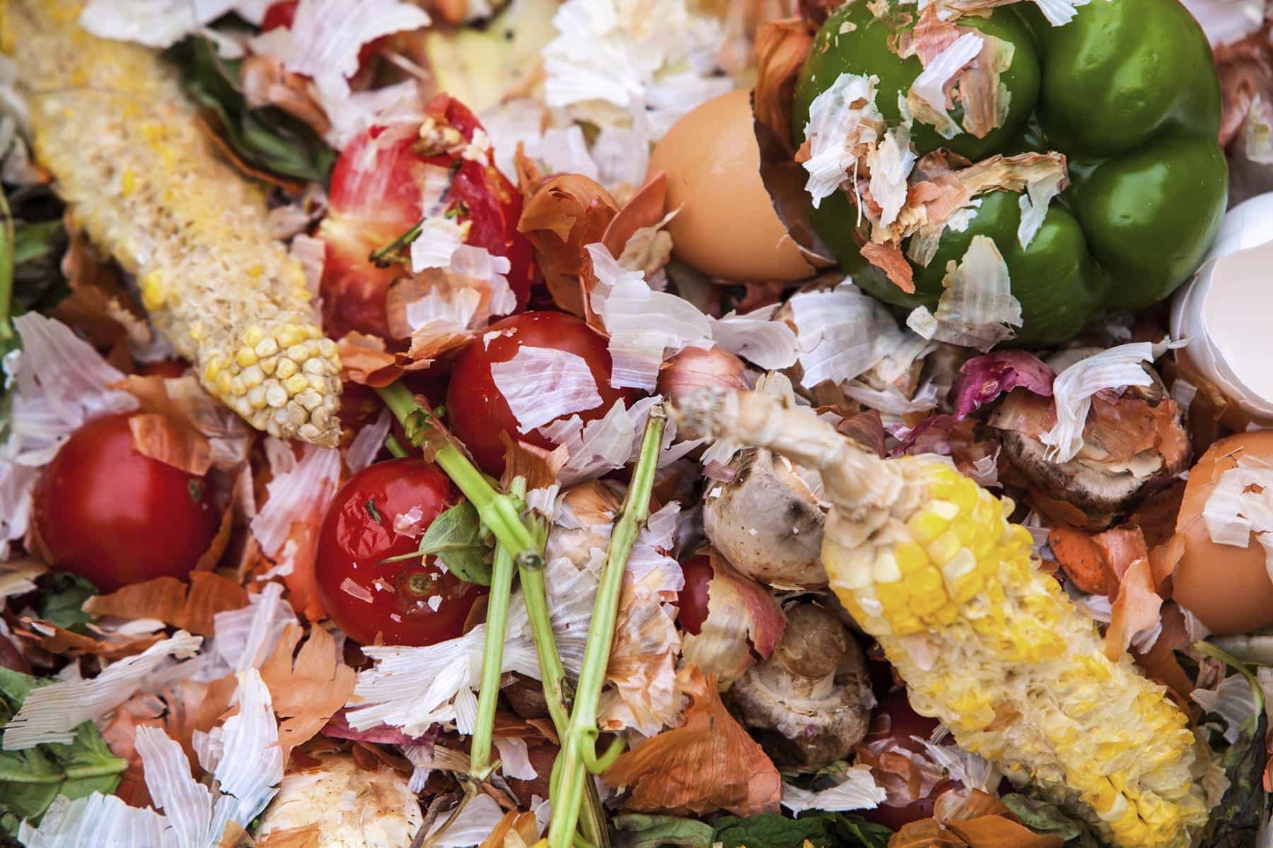 First To Join UK Food Waste Reduction Roadmap | Veolia UK